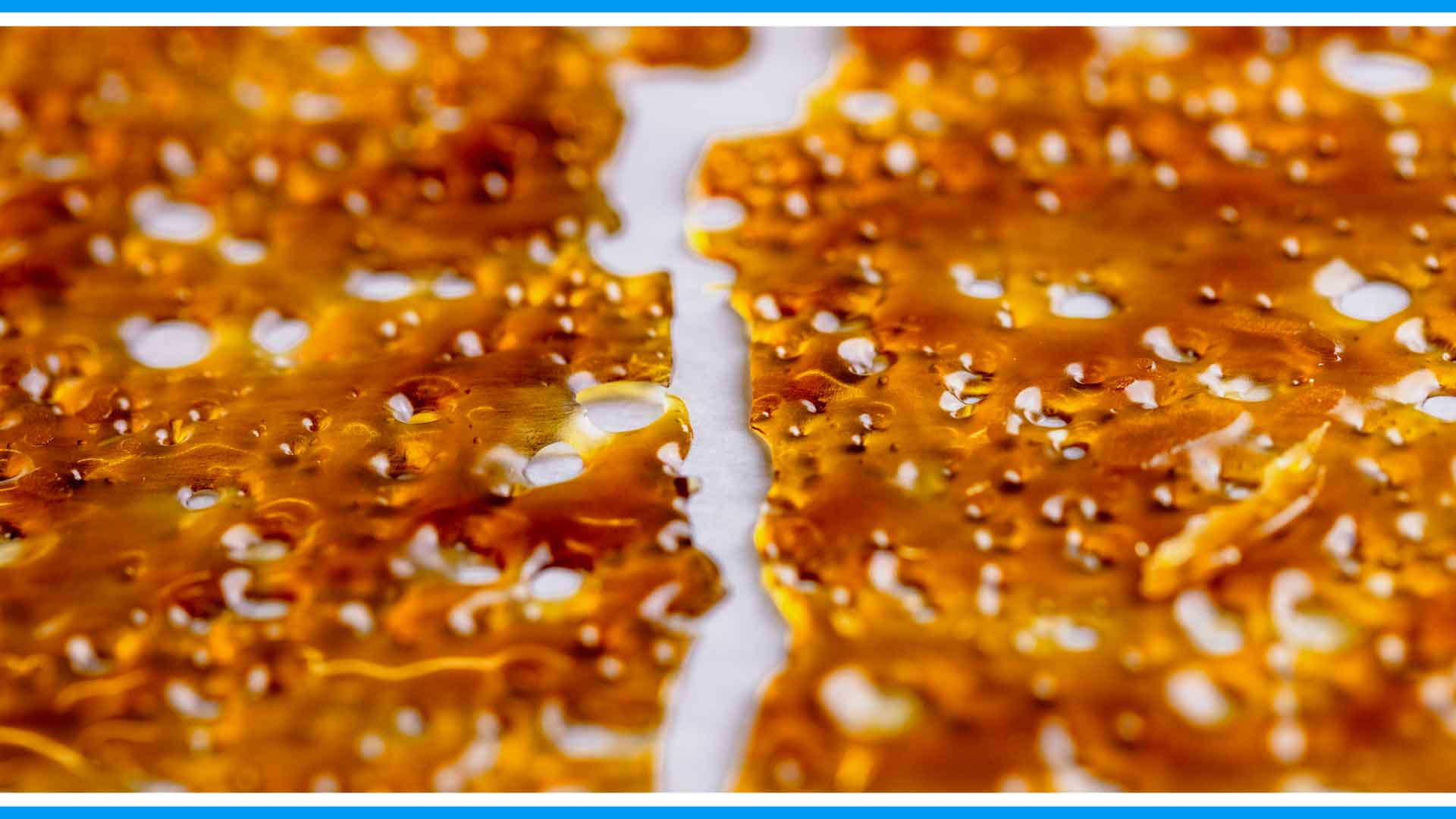 Live Resin Vapes, Pre-Rolls & Gummies in MA • Sticky Fish
